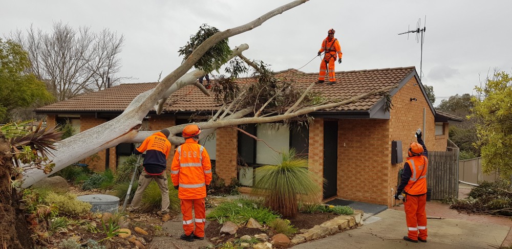 Damaging winds impacting ACT | ACT Emergency Services Agency